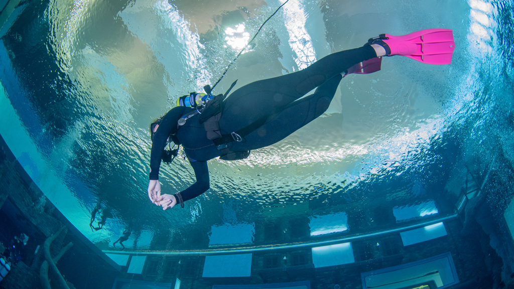 BLU3: Free Nomad Demo Locations & Guided Tour Information