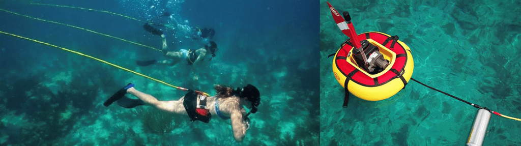 Sealion Multi-Diver Battery-Powered Dive System